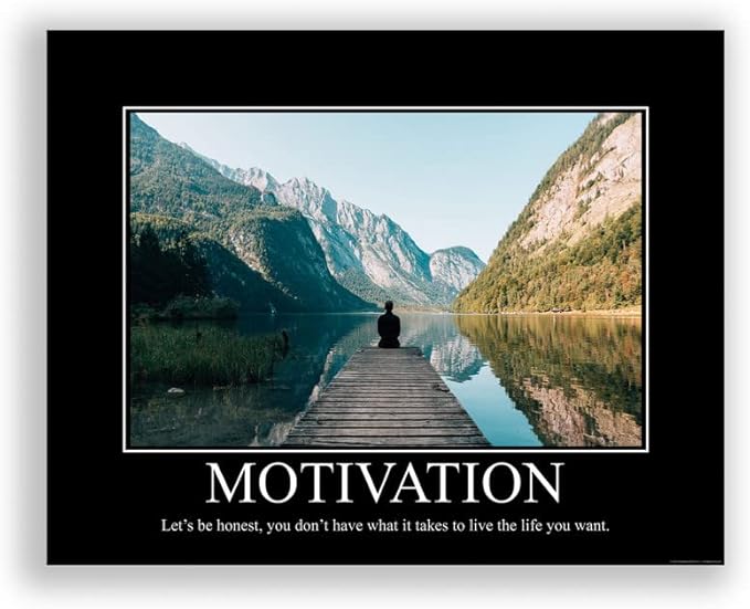Amazon.com: Motivation Demotivational Poster Ironic Snarky Funny ...