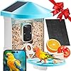 Amazon.com: VEVOR Bird Feeder with Camera Solar Powered, Smart Bird ...