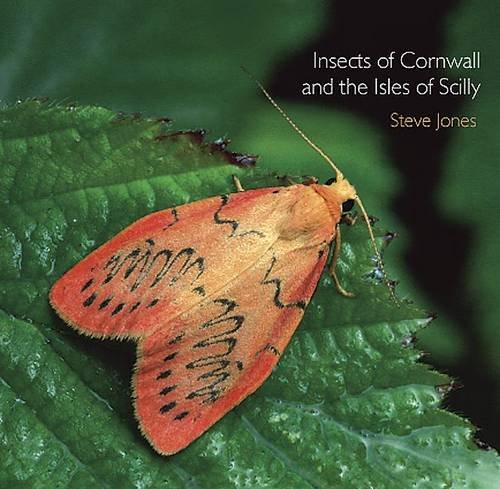 Amazon.com: Insects of Cornwall and the Isles of Scilly (Pocket ...