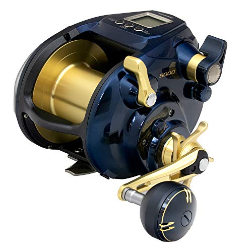 10 Best Electric Fishing Reels + Buying Guide – All Fishing Gear