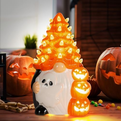 Amazon.com: Fall Gnomes Decorations with LED Lights 9.4in Resin Light ...