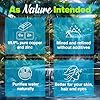 Amazon.com : Mineral Lion Pool Ionizer - Upgrade from Solar Pool ...
