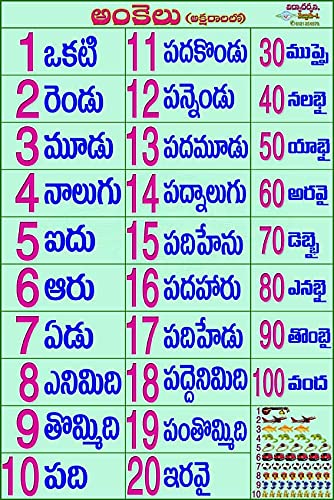 Buy Learning Educational Early Learning Numbers in Telugu of Flex ...