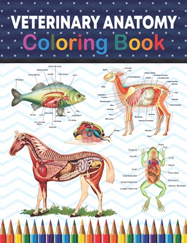 20 Best Veterinary Anatomy Books of All Time - BookAuthority