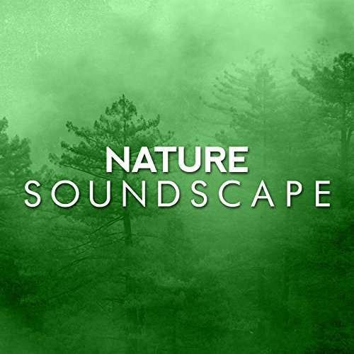 Amazon.com: Nature Soundscape : Nature Sounds: Digital Music