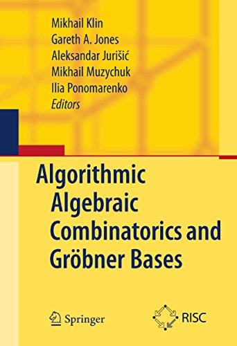 Algorithmic Algebraic Combinatorics and Gröbner Bases 2009th Edition by ...