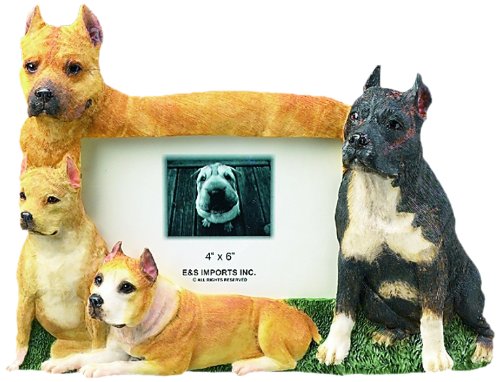 Buy Pit bull Gift Picture Frame Holds Your Favorite 4x6 Inch Photo, A ...