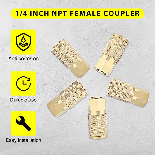 Snapklik.com : Hynade 1/4 Inch NPT Brass Female Air Coupler, Pneumatic ...