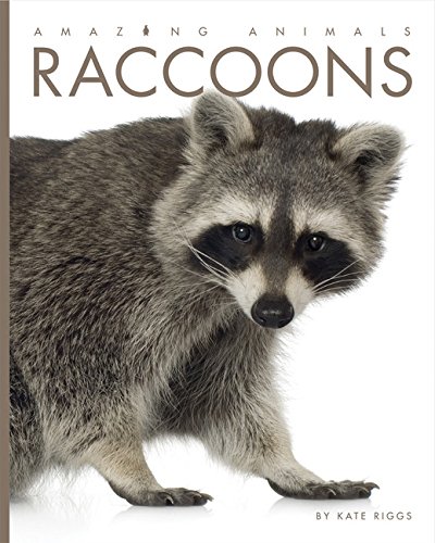 Raccoons | Amazon.com.br