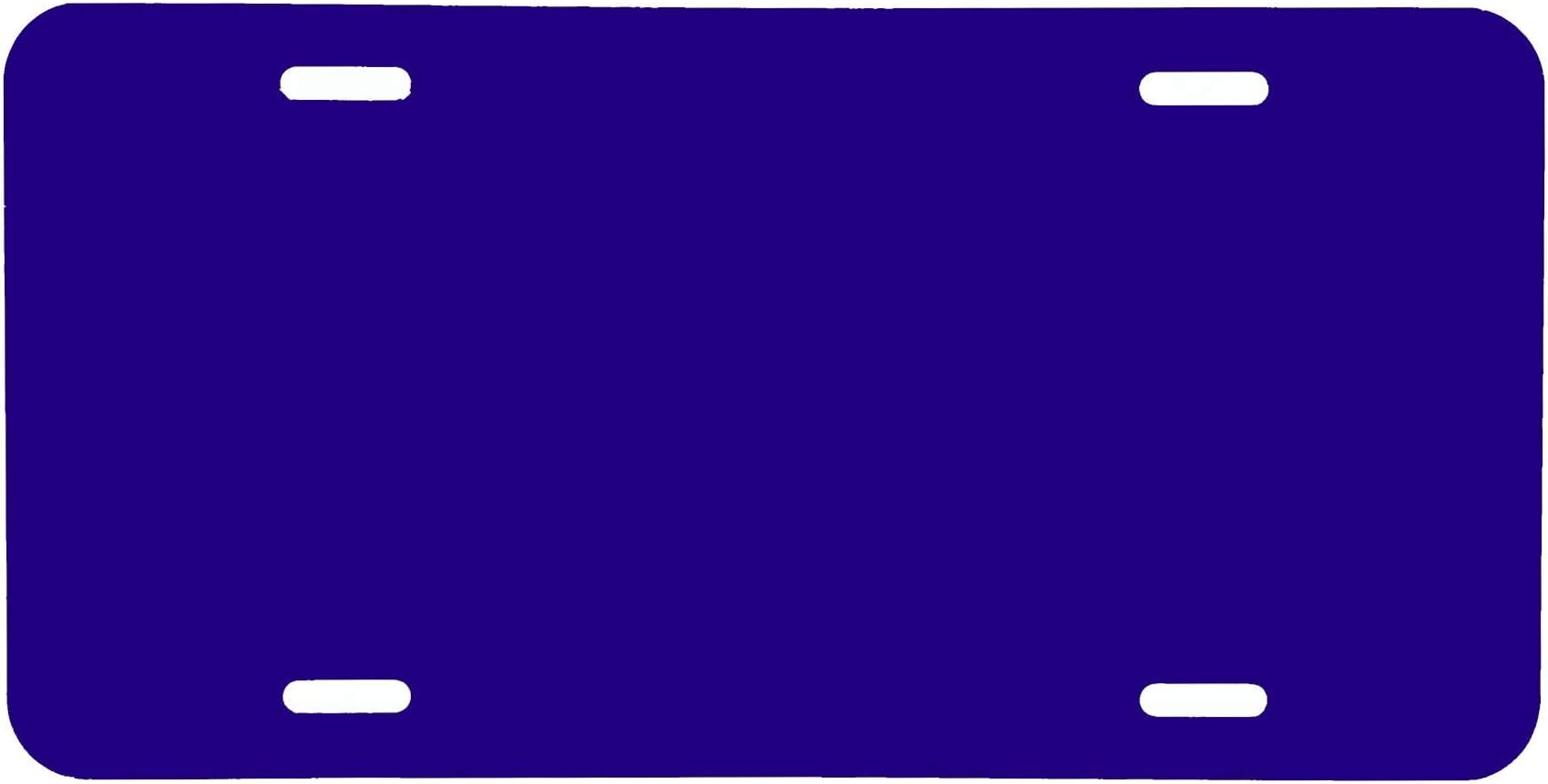 Amazon.com: DMSE Wholesale Blue Blank Metal Aluminium Automotive ...