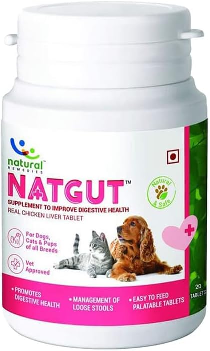 Natural Remedies Natgut Supplement to Improve Digestive Health, Real ...