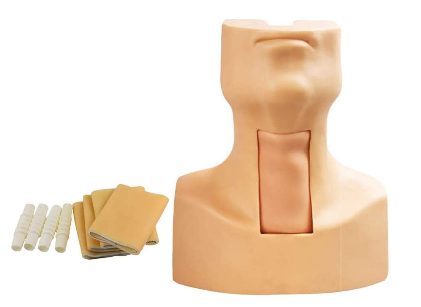 Buy tjz Tracheostomy and Intubation Training Model, Training ...