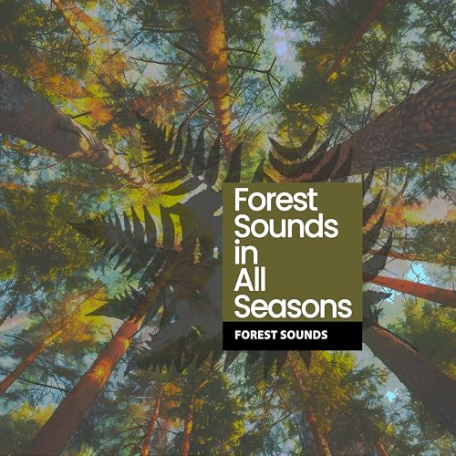 Amazon MusicでForest SoundsのForest Sounds in All Seasonsを再生する