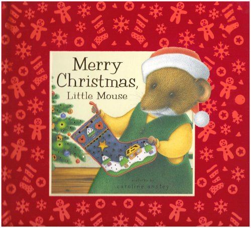 Merry Christmas Little Mouse: 9781840118698: Books - Amazon.ca
