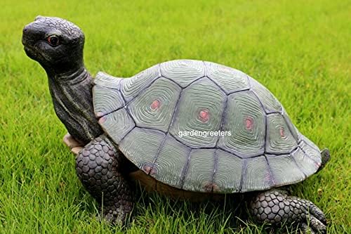 Amazon.com: Large Sea Turtle Statue - Figurine : Home & Kitchen