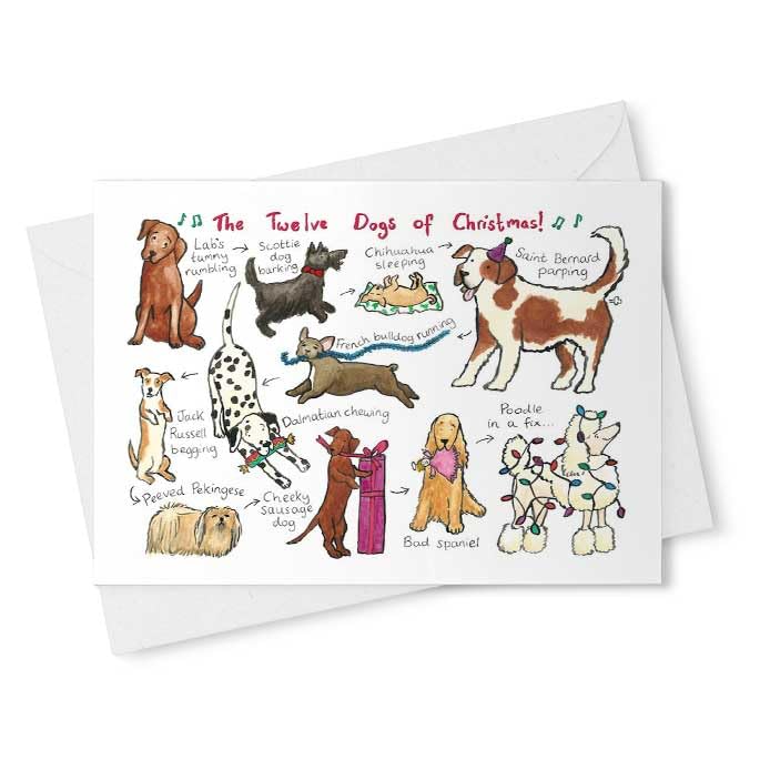 Amazon.com: The Twelve Dogs of Christmas... A Christmas card for dog ...