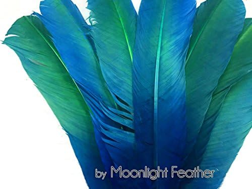 Amazon.com: Turkey Feathers, 6 Pieces Turkey Round Tom Wing Quill ...