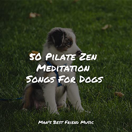 50 Pilate Zen Meditation Songs For Dogs von Music For Dogs Peace, Deep Sleep & Music for Dogs ...