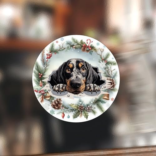 10 Best Coon Dog Boxes for Trucks [2025]