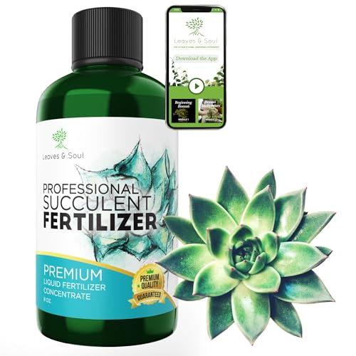 Kill Cacti Quickly: Powerful Natural and Manmade Solutions | Succulent ...