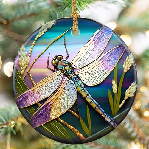 Amazon.com: Dragonfly Christmas Ornaments, Touber Dragonfly Hanging ...