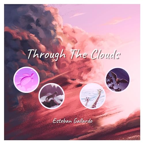 Play Through The Clouds by Esteban Gallardo on Amazon Music