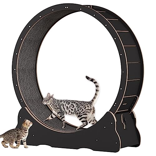 Amazon Best Sellers: Best Small Animal Exercise Wheels