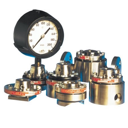 DeltaSigma Isolating Diaphragm Seals IDS-2 : Amazon.in: Industrial ...
