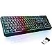 KLIM Chroma Wireless Gaming Keyboard RGB New - Long-Lasting ...