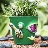 Zombie Planter - Grow Your Own Zombie! | The Green Head