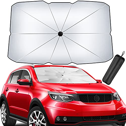 I 13 Migliori Parasole per Auto - Miglioreinrete