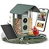 Amazon.com : Kiwibit Beako™ Smart Bird Feeder with 4K Camera Solar Powered for Outdoors - Ultra ...