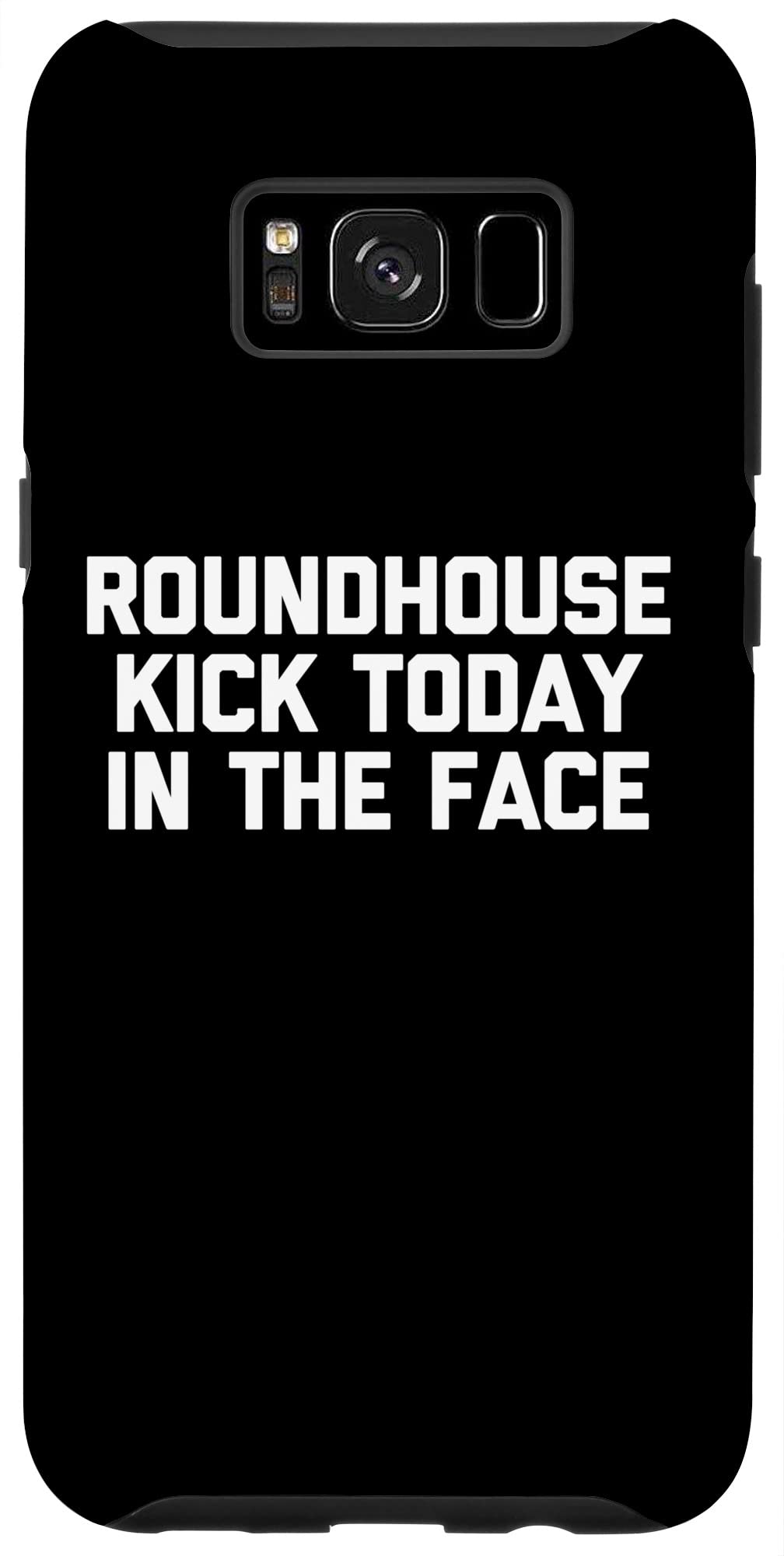 Roundhouse Kick To The Face Funny