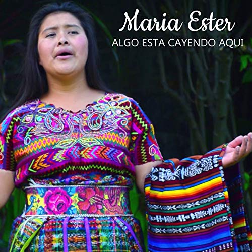 Amazon.com: ALGO ESTA CAYENDO AQUI : Maria Ester: Digital Music
