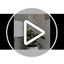 Amazon.com: The Olla Company Plant Watering Spikes with Lids - Ideal ...
