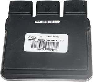 Amazon.com: 41000307 Engine Control Module Computer CDI ECU ECM Igniter ...
