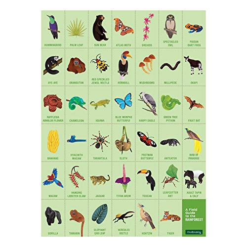 Snapklik.com : Rainforest 64 Piece Search & Find Puzzle Jigsaw Puzzle ...