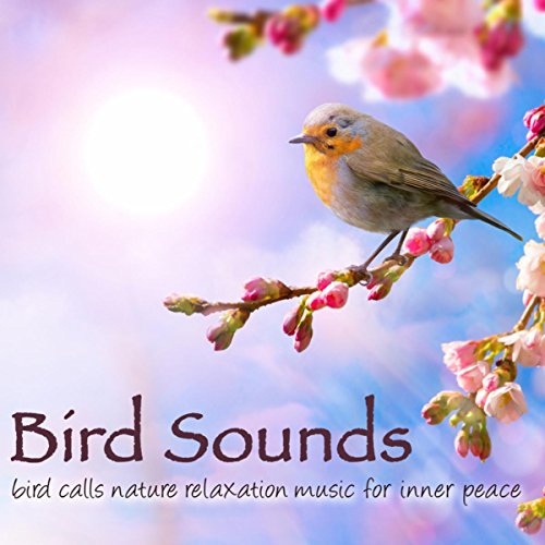 Spiele Bird Sounds - Bird Calls Nature Relaxation Music for Inner Peace ...