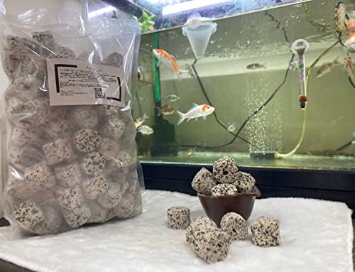 Amazon.co.jp: DCM納豆菌パワーリング (1L) : ペット用品