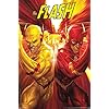 Amazon.com: Trends International DC Comics - The Flash and The Reverse ...