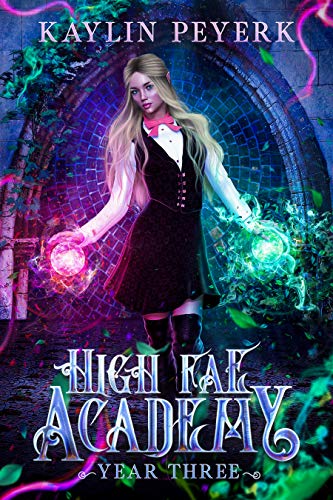 High Fae Academy - Year Three: Paranormal Fae Romance eBook : Peyerk, Kaylin: Amazon.ca: Kindle ...