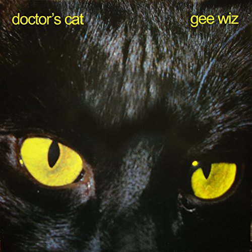 Amazon.com: Gee Wiz : Doctor's Cat: Digital Music