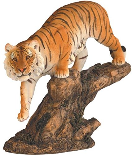Tiger Climbing Down