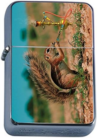 Amazon.com: Flip Top Oil Lighter Funny Smoking Animal S2 Squirrel ...