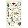 Amazon.com: Cavallini Papers & Co. Wildflowers Tea Towel, Multicolor : Home & Kitchen