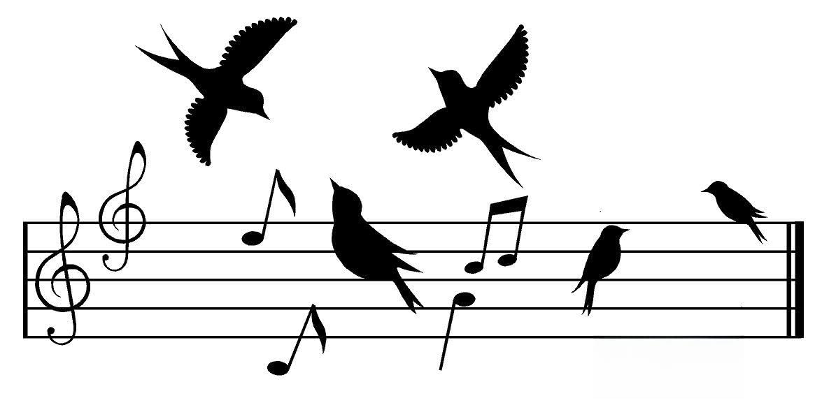 Amazon.com: Newclew Music Notes with Birds Flying Sitting Singing ...