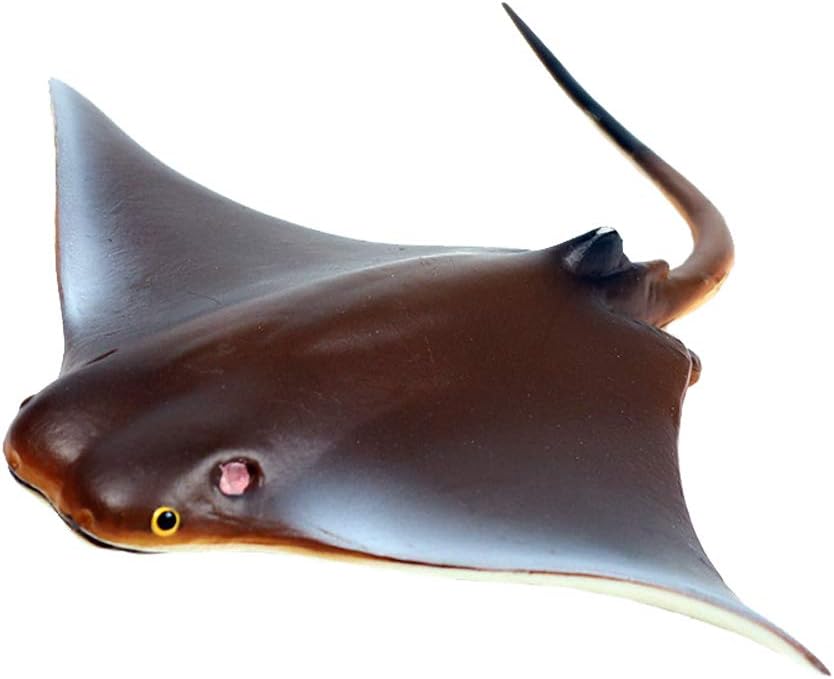 Amazon.com: HOMNIVE Small Manta Ray Figures - Realistic Animal Figures ...