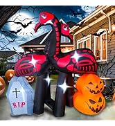 Amazon.com: BLOWOUT FUN Halloween Decorations 6 Ft Length Halloween ...