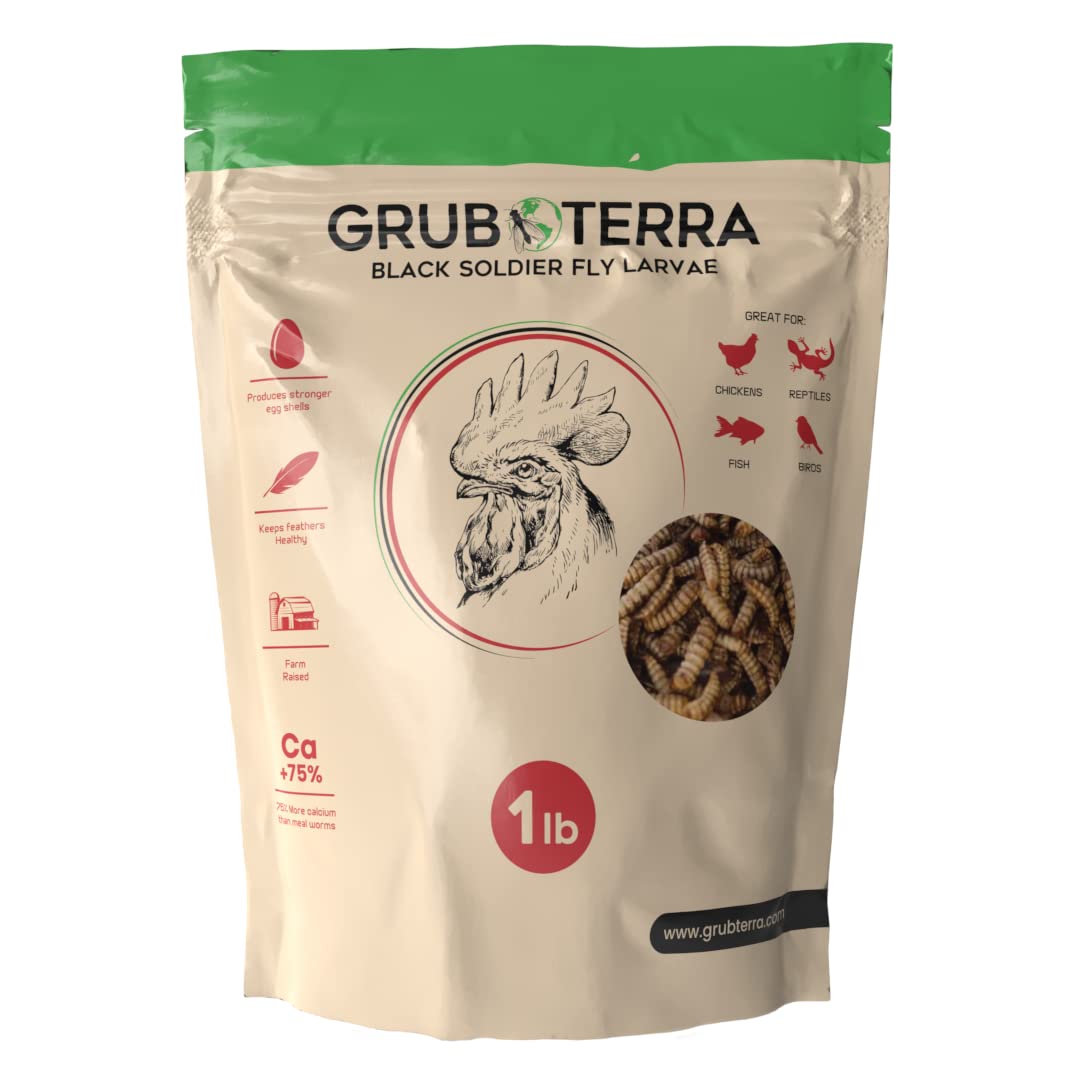 Buy Grub Terra Natural y Chicken Treats, Black Soldier Fly Larvae Made ...