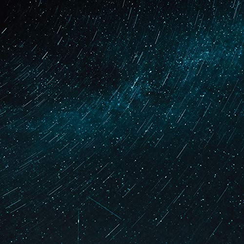 Amazon.co.jp: Bags : Polished Chrome, Veggie Loops: デジタルミュージック